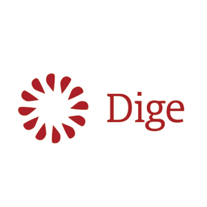 Dige
