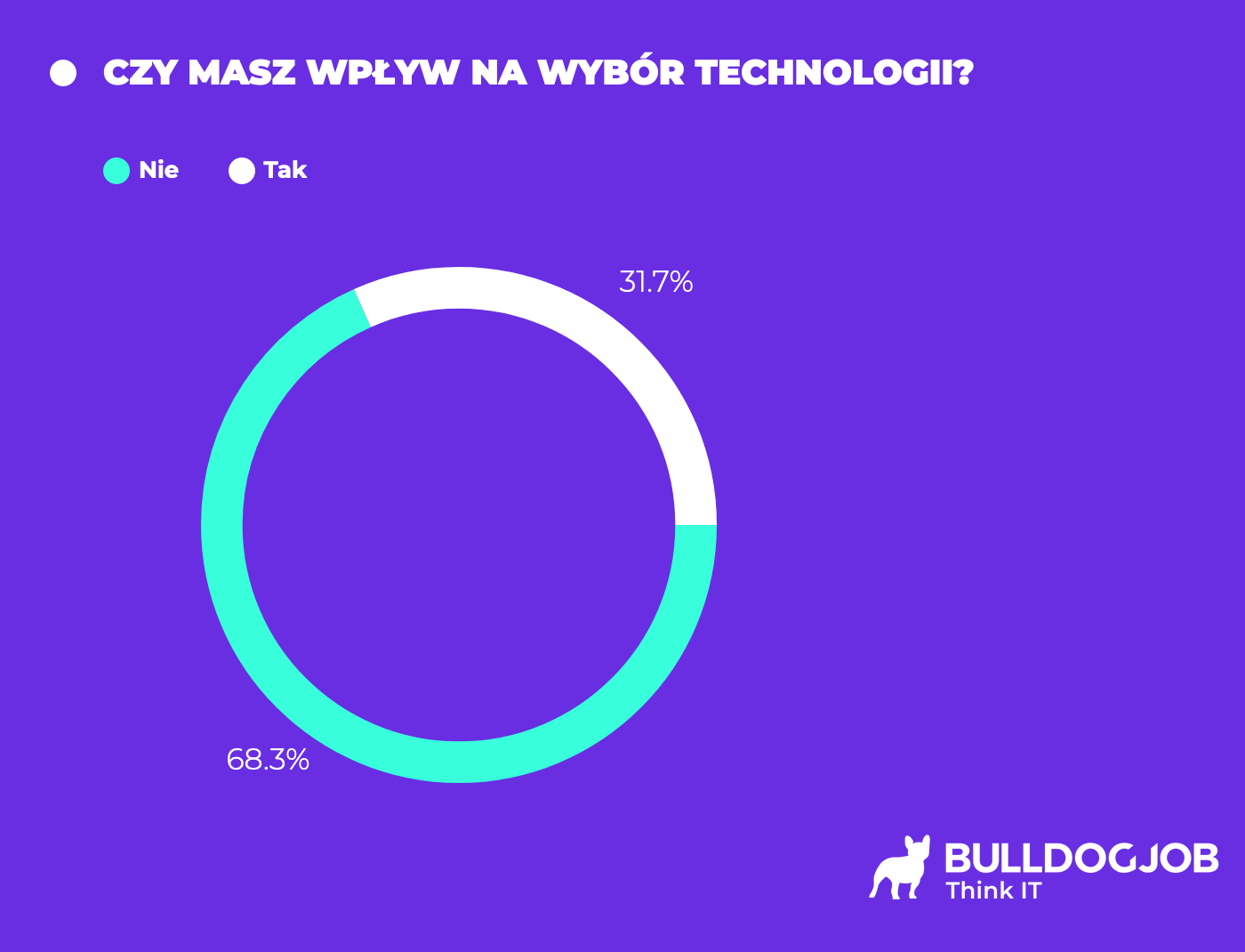 Analitycy IT - Raport z Badania Społeczności IT 2024