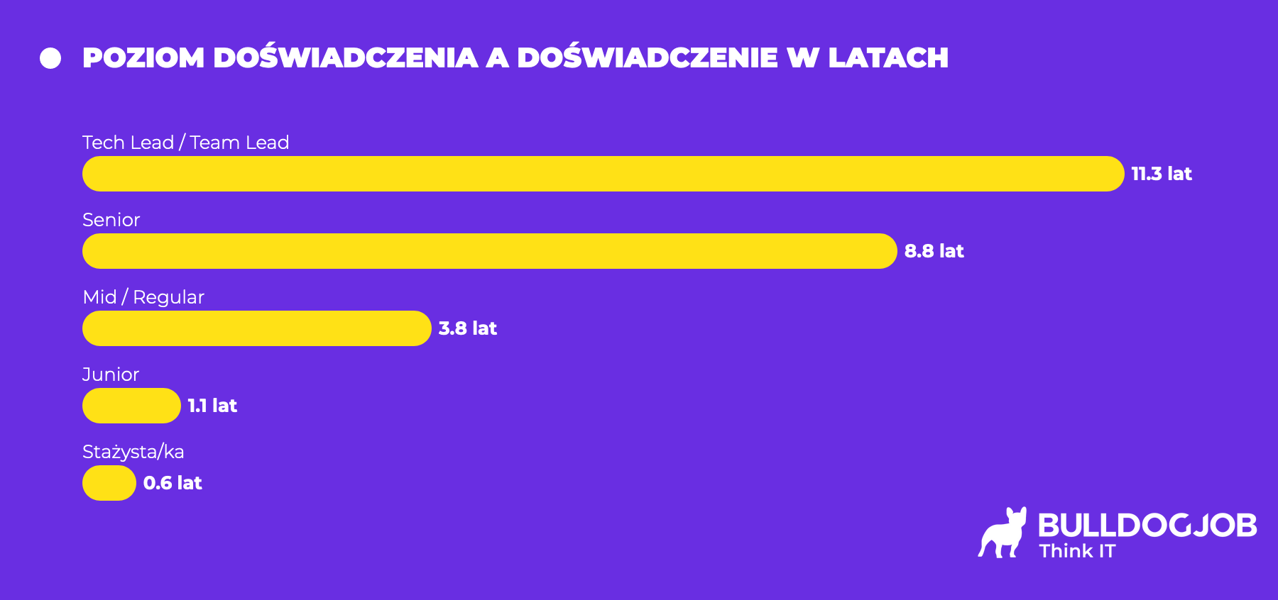 Analitycy IT - Raport z Badania Społeczności IT 2024