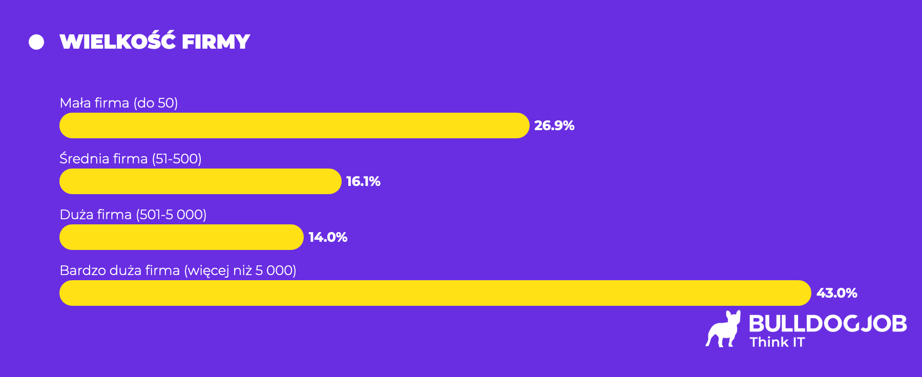 Data Science - Raport z Badania Społeczności IT 2024